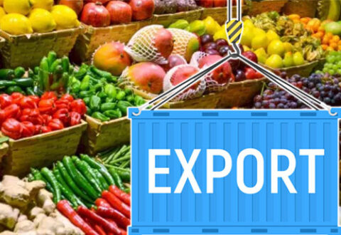 Introduction To Exporting Nigerian Foods - Microvarsity | Learn New ...